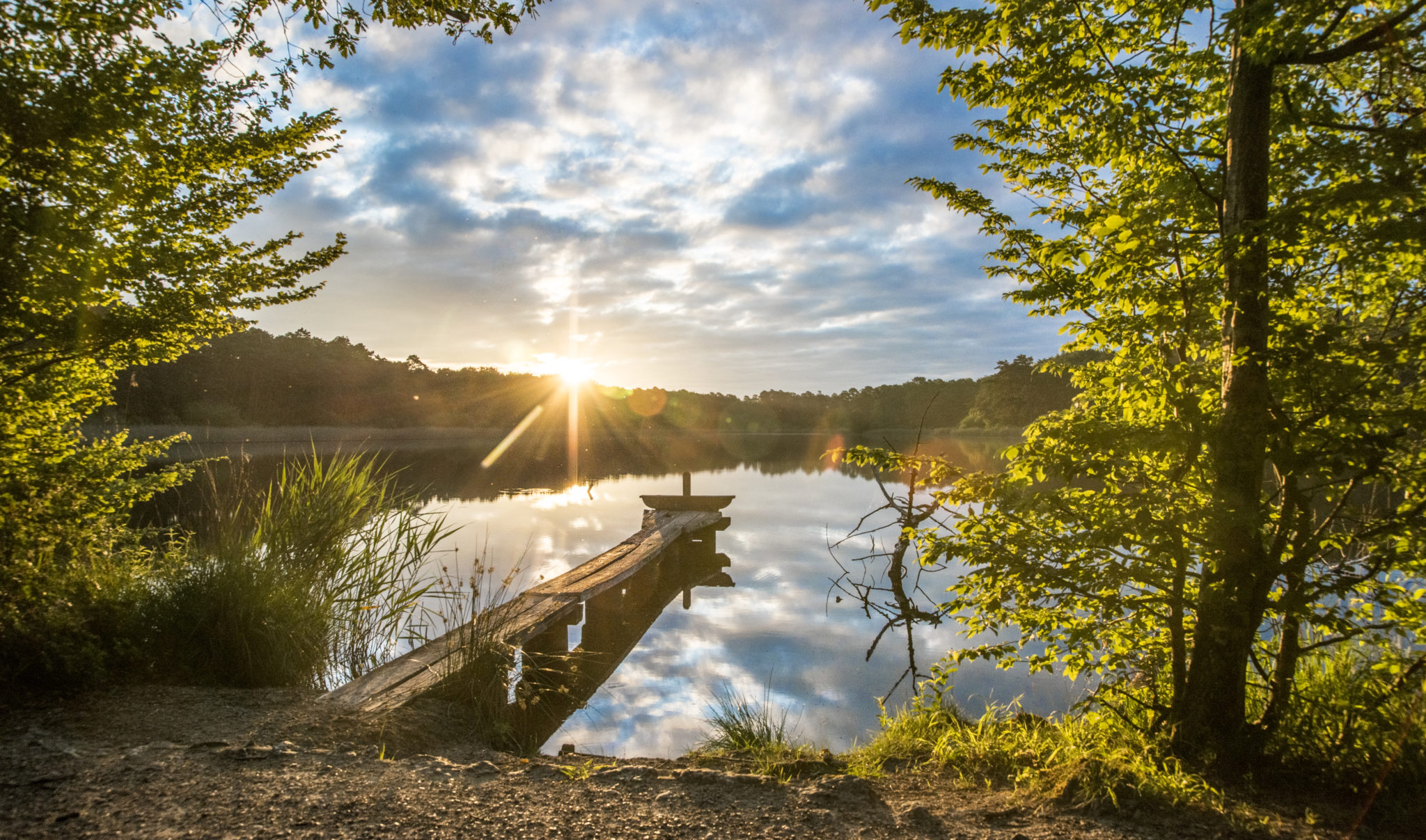 Vidéo d’Automne | Syndicat Pays Grande Sologne